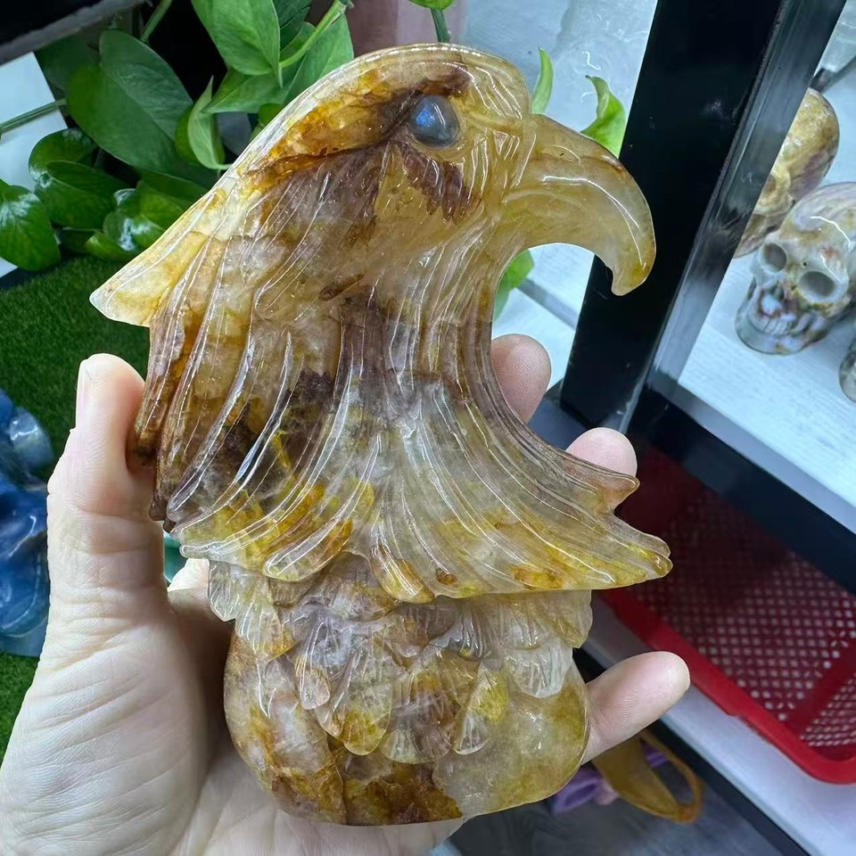 1.5LB Natural Yellow glue flower Quartz Crystal Carved Eagle Skull ...