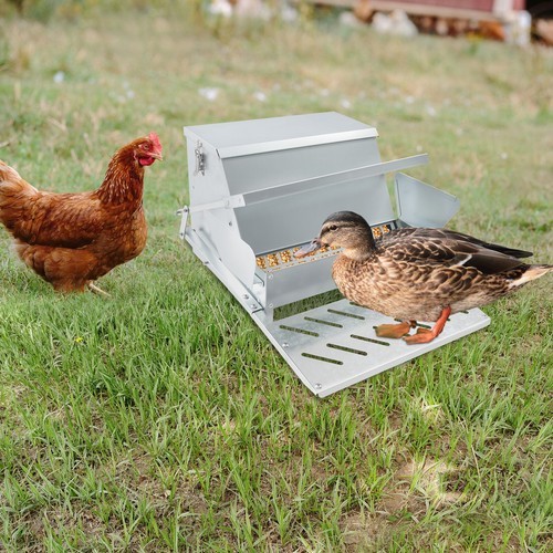 25 lbs Automatic Chicken Feeder Large Capacity Poultry Trough Chicken ...