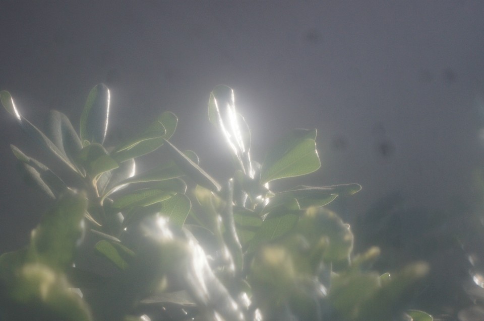 Argus A head F4.5 Anastigmat to Sony E (NEX, FS100, A7R etc) Adapter ...