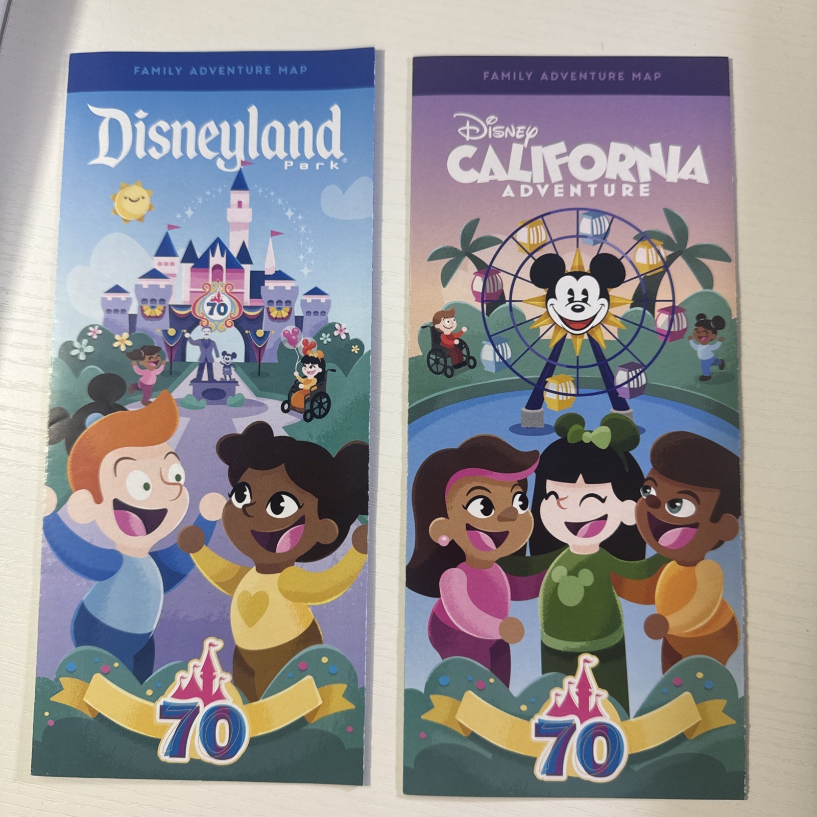 Disneyland DCA Park Family Adventure Map | Grelly USA