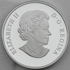 2014 $20 Baby Animals Beaver 1 oz Pure Silver Color Proof 1st Coin in ...