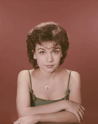 American actress and singer Annette Funicello, circa 1960 Old Photo | eBay