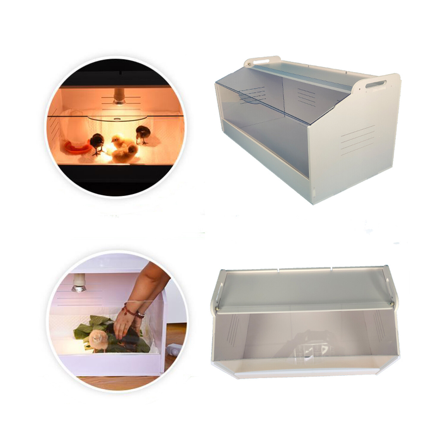 Poultry Chick Brooder Equipment For Birds/ Hand Raised Parrot/ Reptile ...