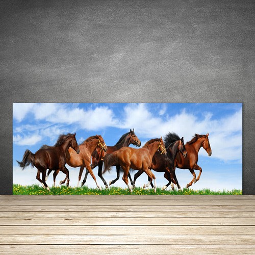 Kitchen Splashback 125x50 Tempered Glass Horses Animals | eBay
