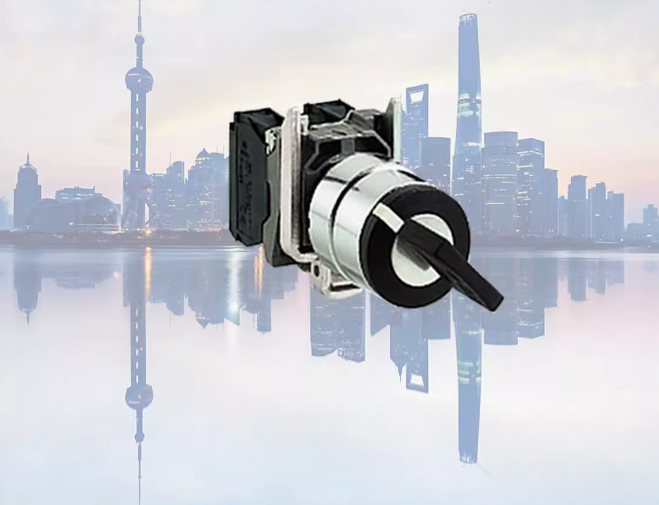 1PC NEW Schneider XB4BG61 Key switch | eBay