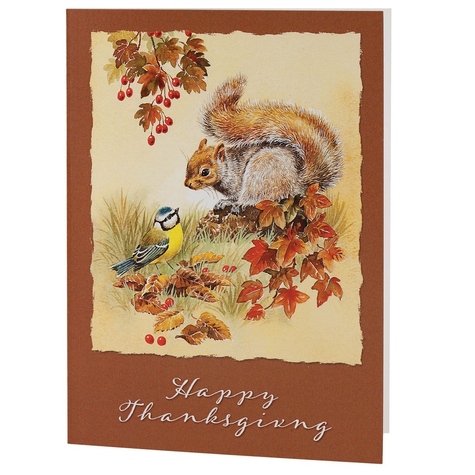 Thanksgiving Card Assortment Set of 20 | eBay