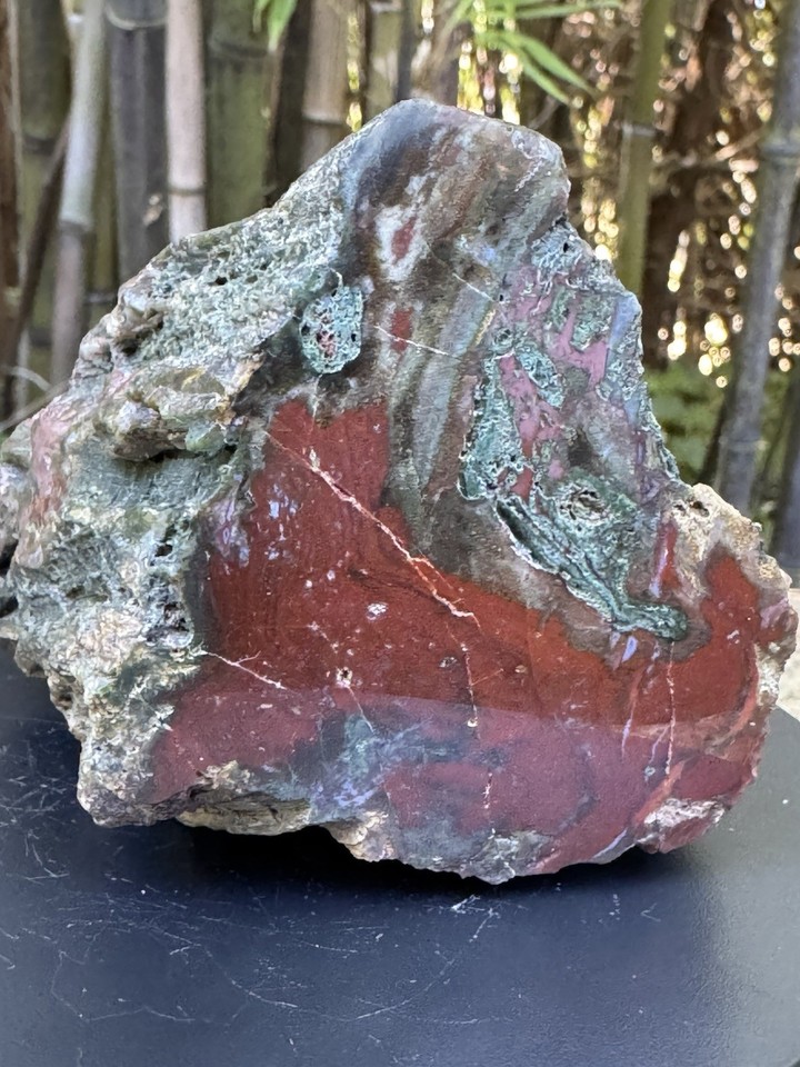 Polished Green Red Jasper Replaced Petrifried Wood Hampton Butte ...