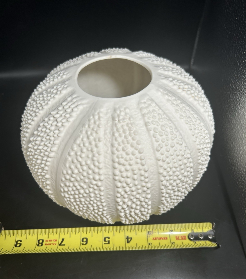 Vintage White Sea Anemone Urchin Textured Round Ceramic Vase 9” x 6 ...