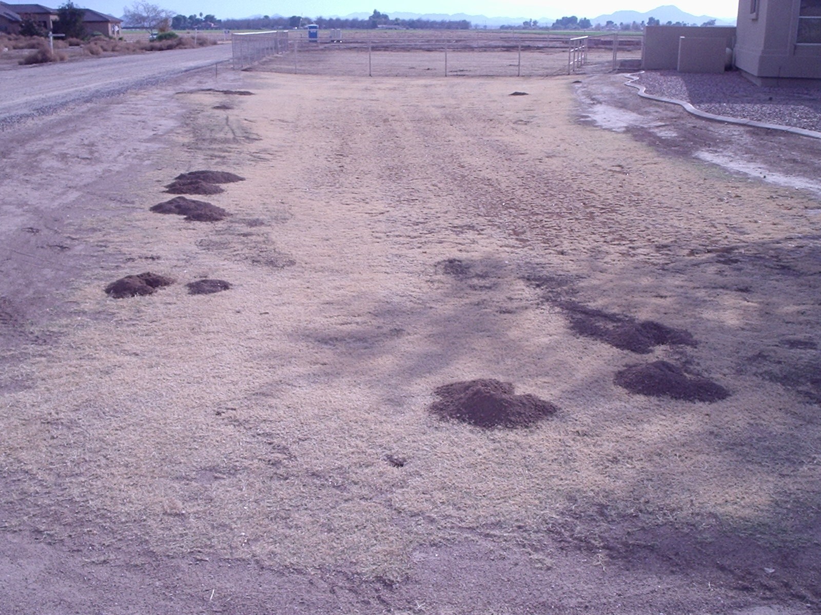 Gophers , Moles , Prairie dogs , Voles , ground squirrels , underground ...