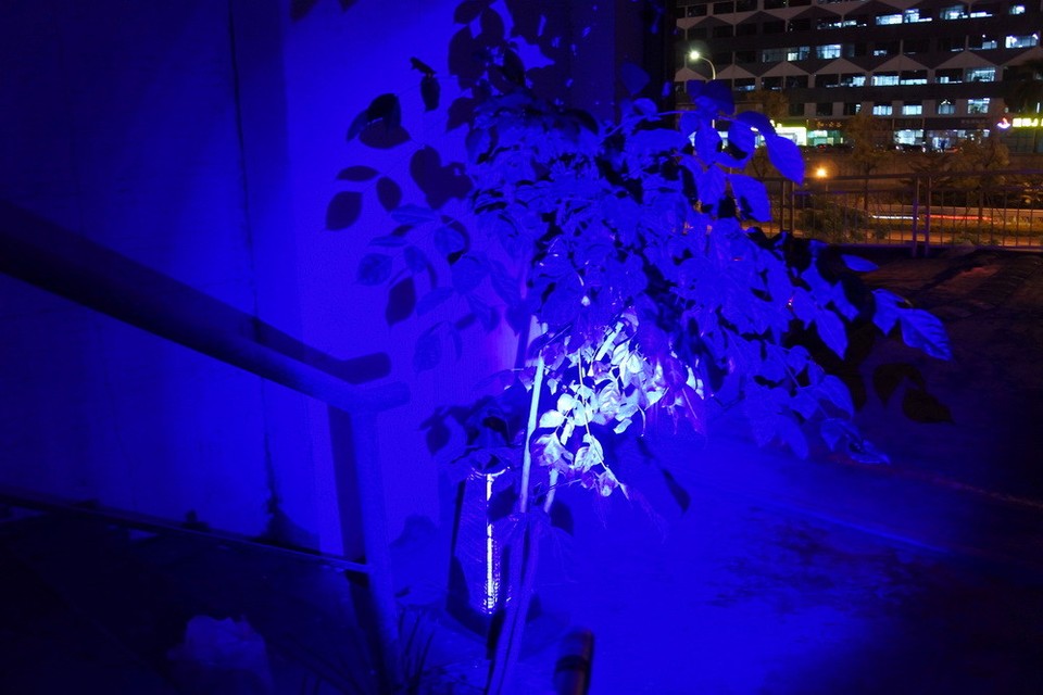 470nm Pen Type Blue Light LED Flashlight Hunting Night Vision Blue LED ...