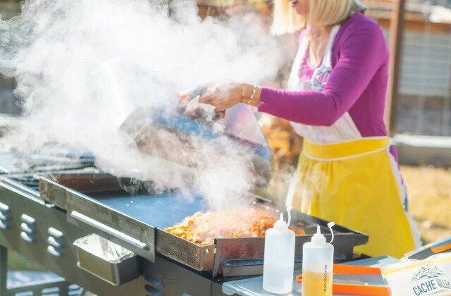 Extra Large Basting Cover for Steaming & Melting For Flat Top & Grill ...