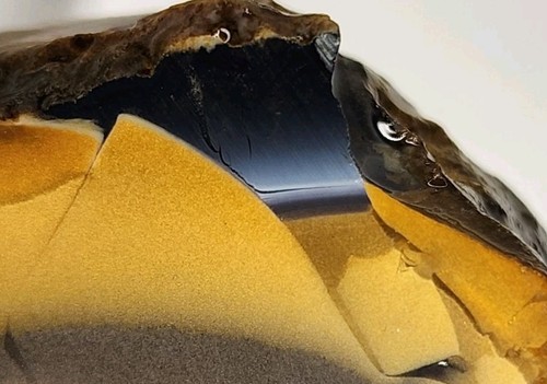 Fryite jasper nodule extremely rare snake river orbicular porcelain ...