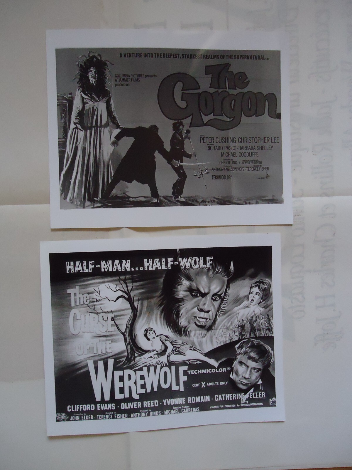 HAMMER/THE GORGON+CURSE OF THE WEREWOLF/ U13/2 british photos | eBay