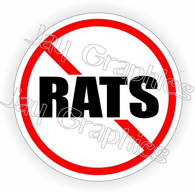 NO RATS Hard Hat Decal / Label / Motorcycle Helmet Sticker Funny ...