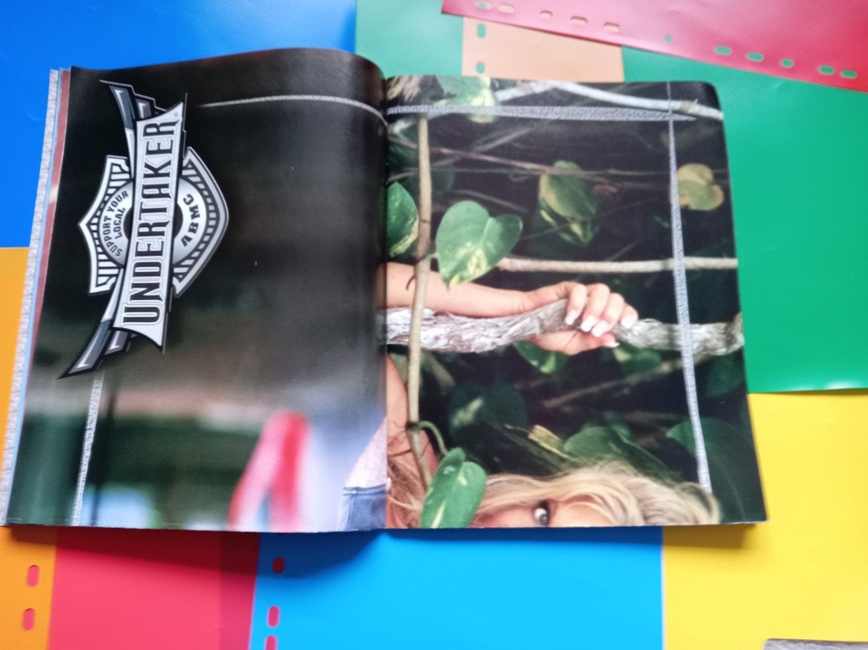 WWF WWE Superstars The Posterbook Divas 10 Giant Posters Rock ...