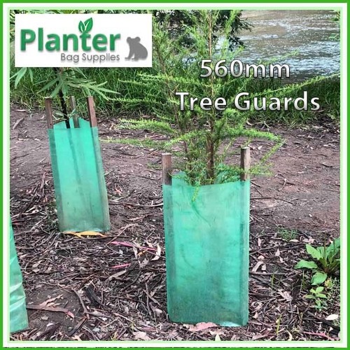 560mm Tree protection sleeves / Tree Guard Surrounds - 100µm - 200 Pack ...