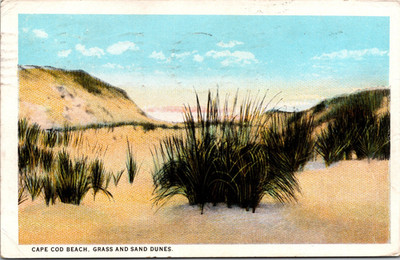 Cape Cod Massachusetts Beach Sand Dunes Grass White Border Postcard ...