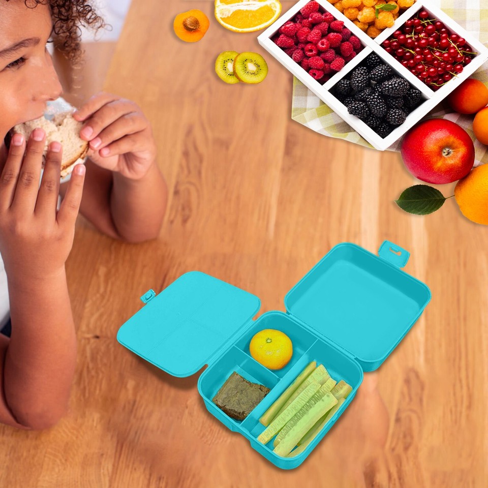 3 compartments Lunch Boxes, Kids Girls School Food Container, Picnic ...