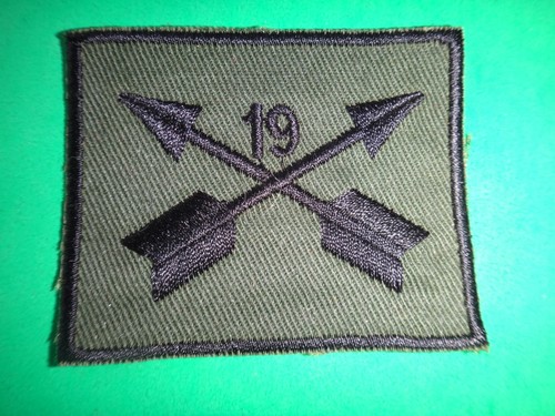 US Army 19th Special Forces Group Subdued Patch | eBay