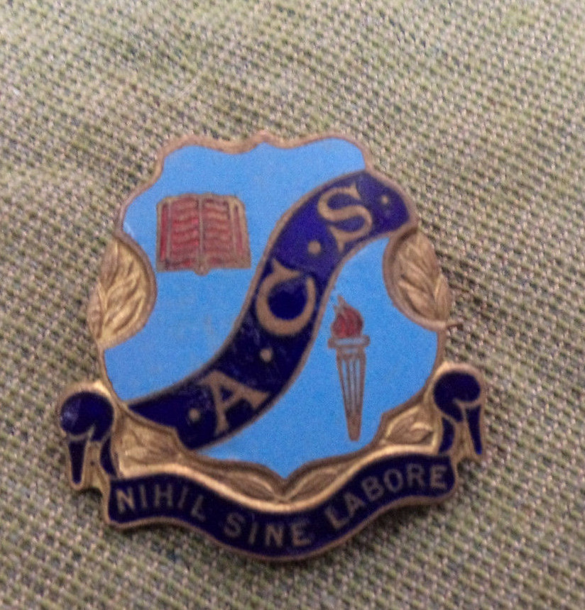 #D324. SCHOOL ACS LAPEL BADGE - NIHIL SINE LABORE | eBay