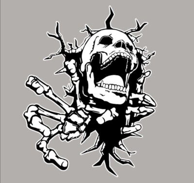 SKULL GRABBING THROUGH BROKEN WINDOW VINYL DECAL STICKER | eBay