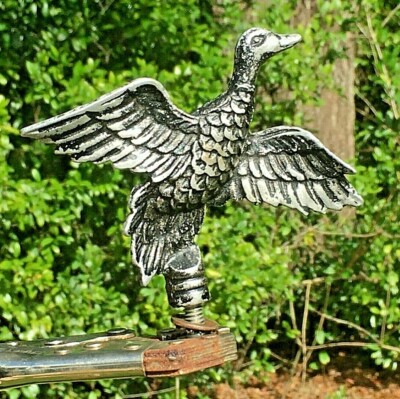 Knucklehead Panhead Flathead Old Hot Rod Flying DUCK Fender Mascot Vtg ...