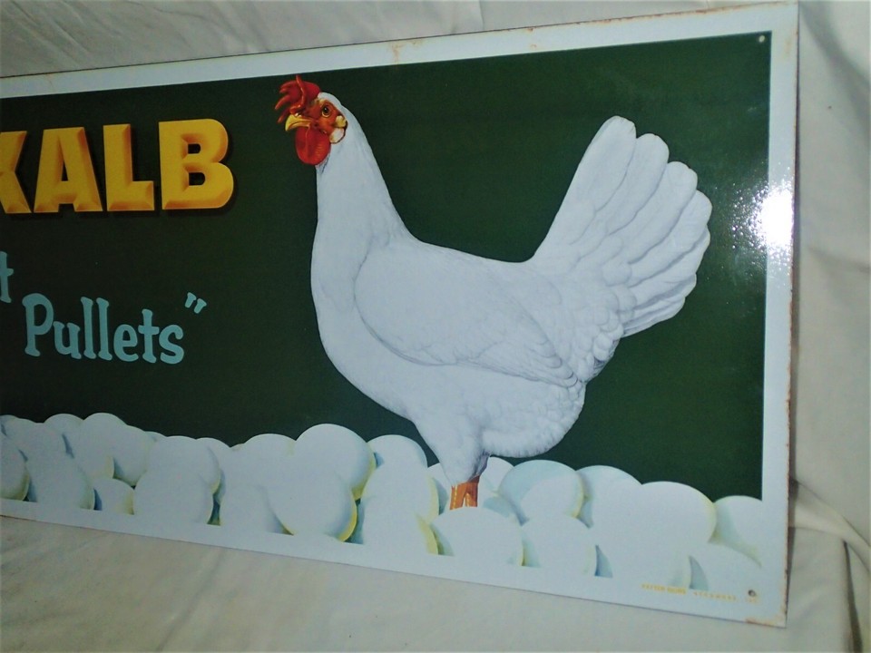 1960's N.O.S. DEKALB COUNTRY CHICKEN PROFIT PULLETS METAL TIN EGG FARM ...