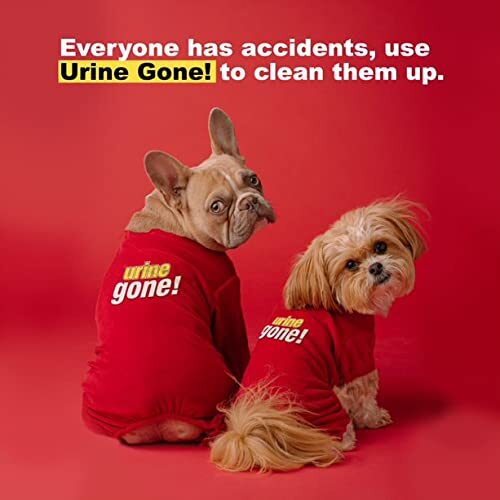 Urine Gone Pet Stain & Odor Remover Professional Strength Fast-Acting ...