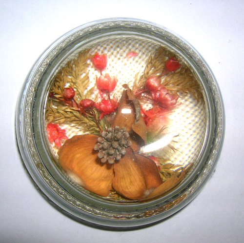 Paperweight Heavy Domed Glass HOLLY BERRY PINE CONE 3 inch Felt Bottom ...