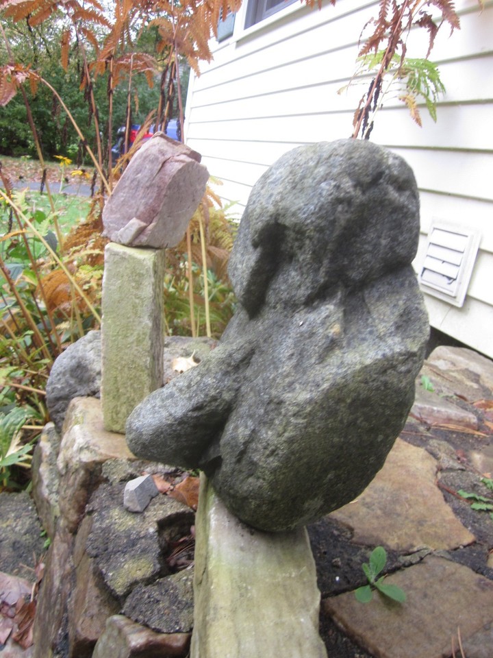 Geological anomaly "The Nixon Stone" discovered in Roaring Branch River ...