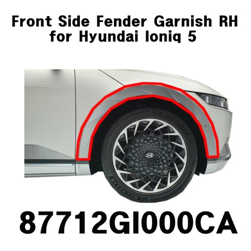 NEW OEM Front Side Fender Garnish RH Right 87712GI000CA for Hyundai ...