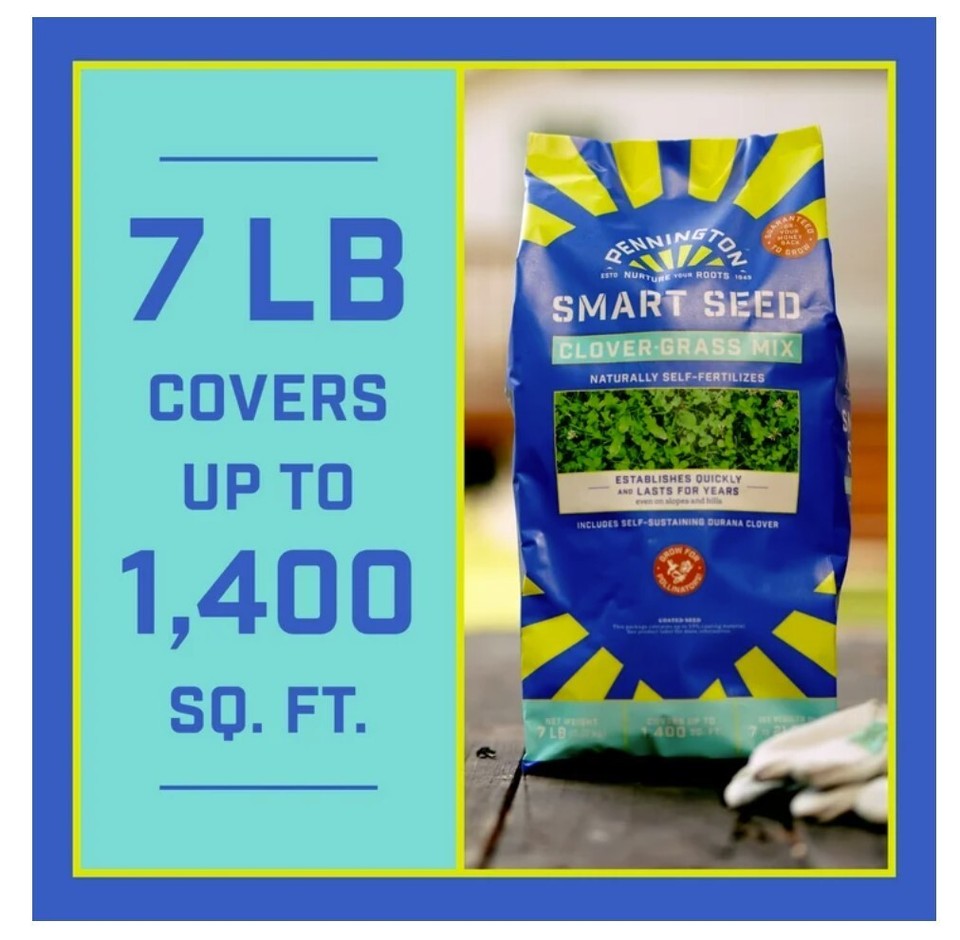 Smart Seed Clover & Grass Seed Mix, 7 lb, Low-Maintenance | eBay