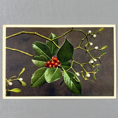 Vintage Postcard Thor E Gyger 754 Mistel Divided Back Switzerland | eBay