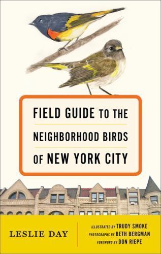 Field Guide to the Neighborhood Birds of New York City by Leslie Day ...