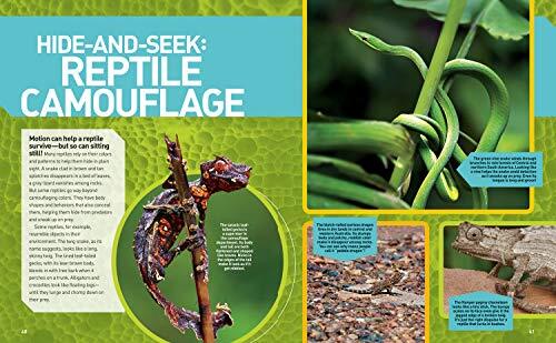 Ultimate Reptileopedia: The Most Complete Reptile Reference Ever | eBay