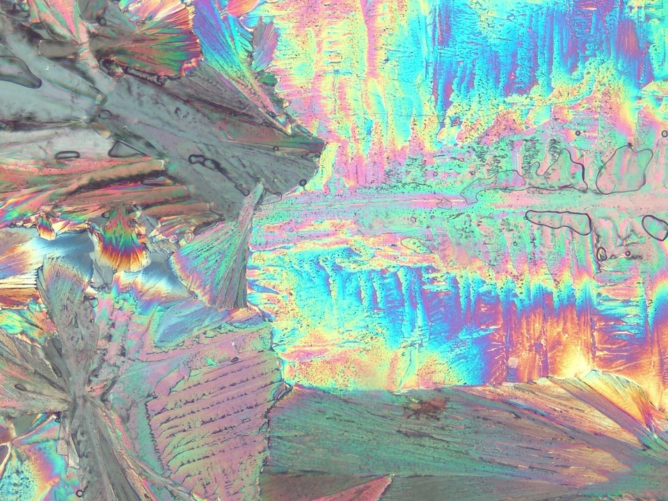 Olympus Microscope BX51 Pol Polarizing with Prior ProScan III Motorized ...