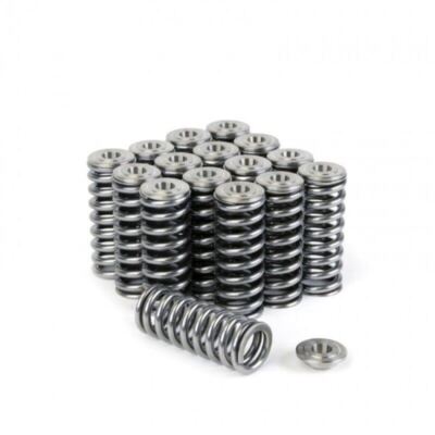 For 92-00 Civic D16 D-Series Skunk2 Alpha Valve Springs And Titanium ...