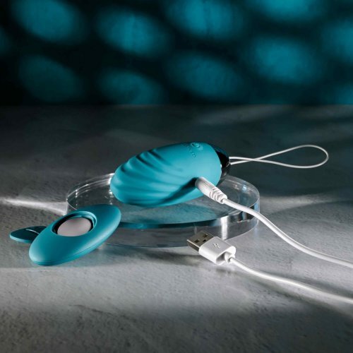 Evolved Oval Office Remote Control Egg Vibe | eBay