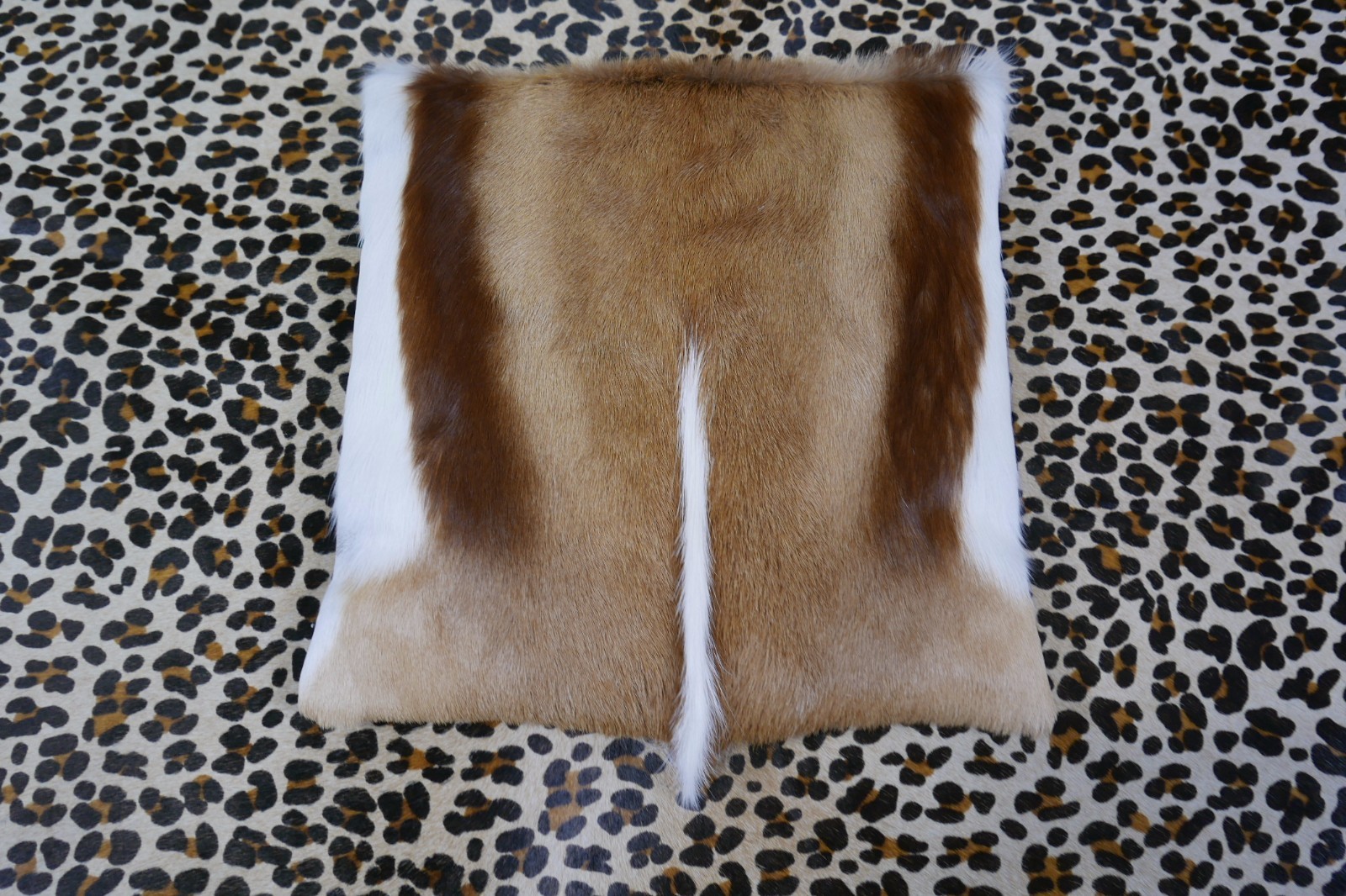 Springbok Skin Pillow Case Size: 17x17" African Springbok Hide Cushion ...