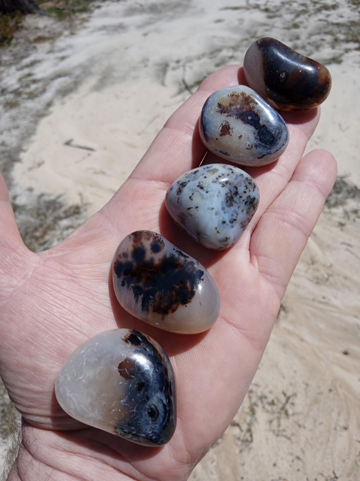 Lot of 5 Stunning Small Polished Dendrite AGATES! Mineral Specimens D3 ...