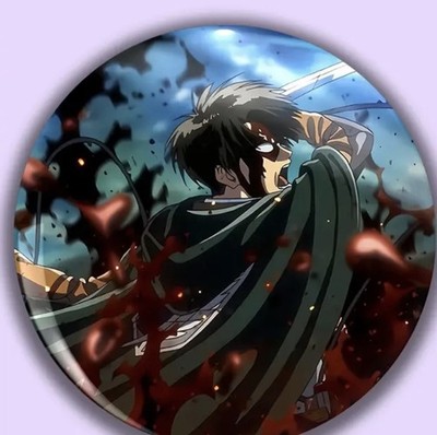 Attack on Titan Levi badge | eBay