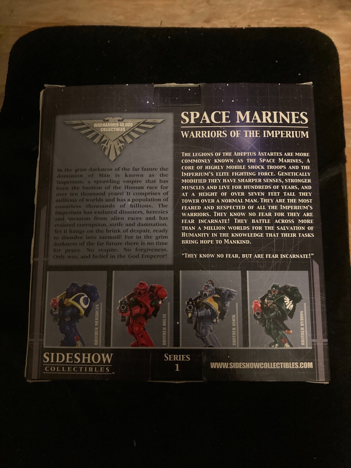 Warhammer 40k Ultramarines Brother Holst Polystone Statue / Figure ...