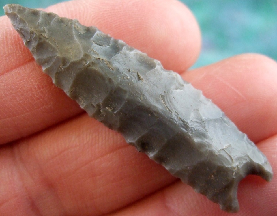 Rare Super Fine G10 Kentucky Paleo Wheeler Point with COA Arrowheads ...