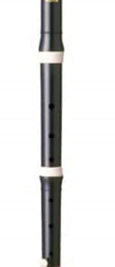 Aulos AF-1 Grenser Baroque Flute Plastic Material Japan AF1 Wind ...