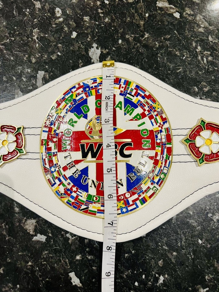 WBC UNION CHAMPION BELT WBC BELT WITH BRASS PLATES 3D WBC KIDS BOY MINI ...
