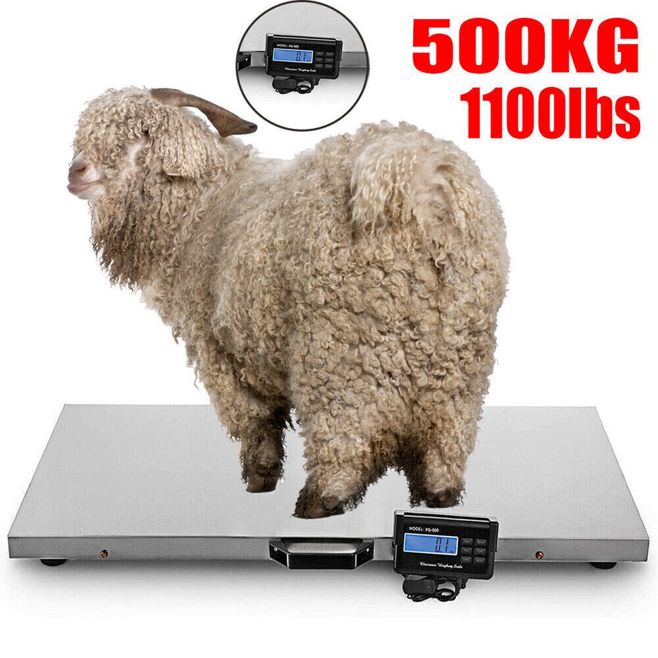 1100 lbs Large Digital Electronic Scale Veterinary Pet Animal Weight ...