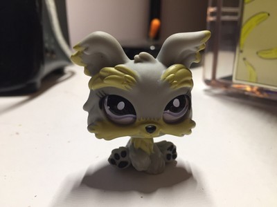Authentic Littlest Pet Shop Hasbro LPS YORKSHIRE TERRIER DOG #883 Grey ...