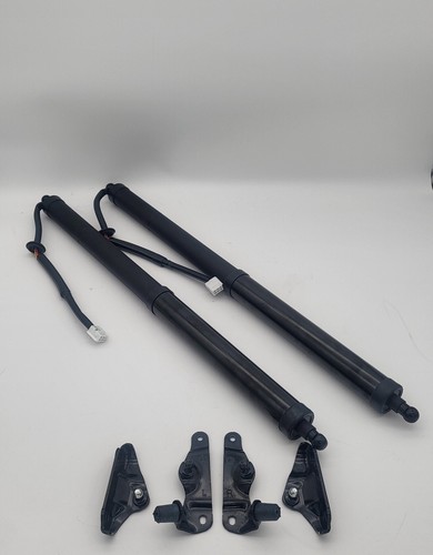 Toyota Highlander 2017-2019 Back Door/ Hatch Dampers/ Shocks Set ...