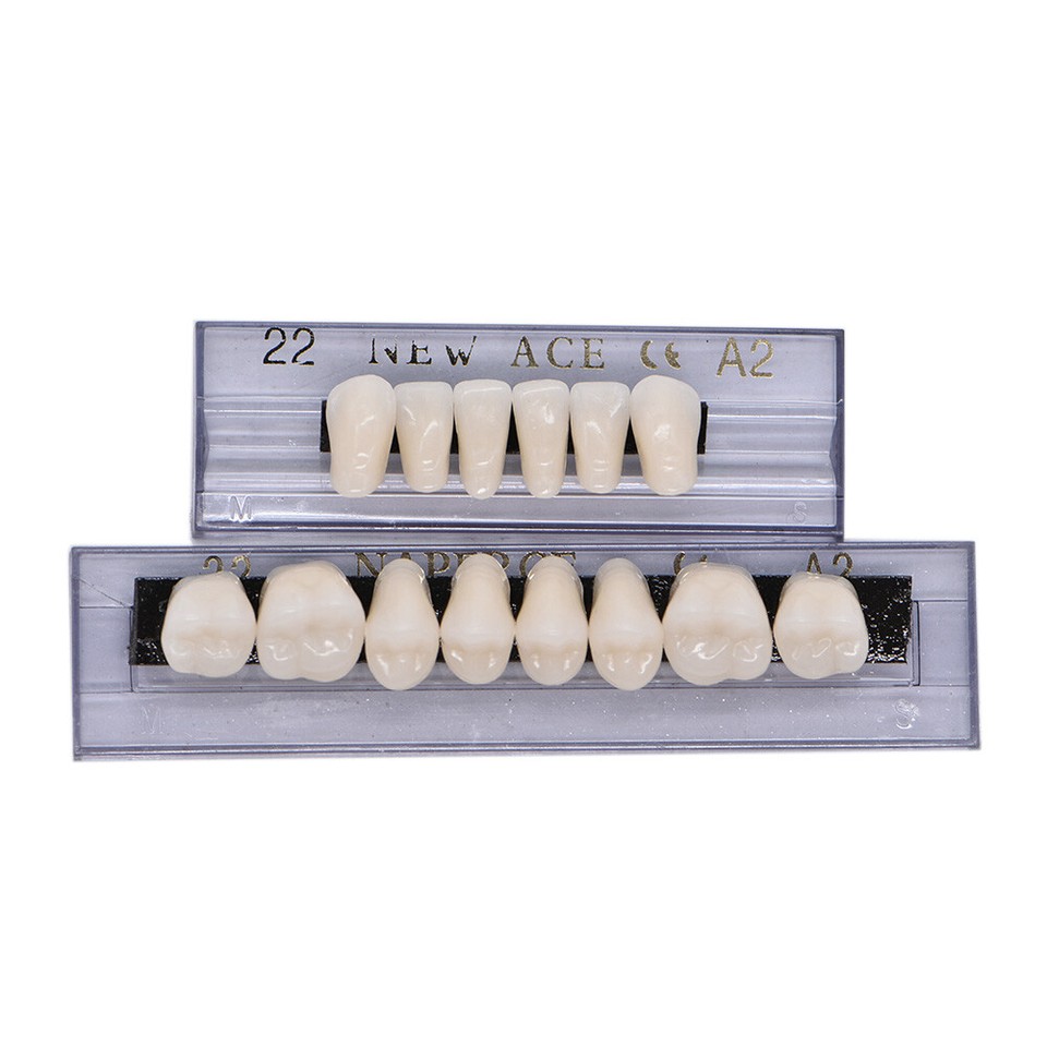 168pcs Dental Acrylic Resin Denture 22# A2 Fullset Teeth Upper Lower ...