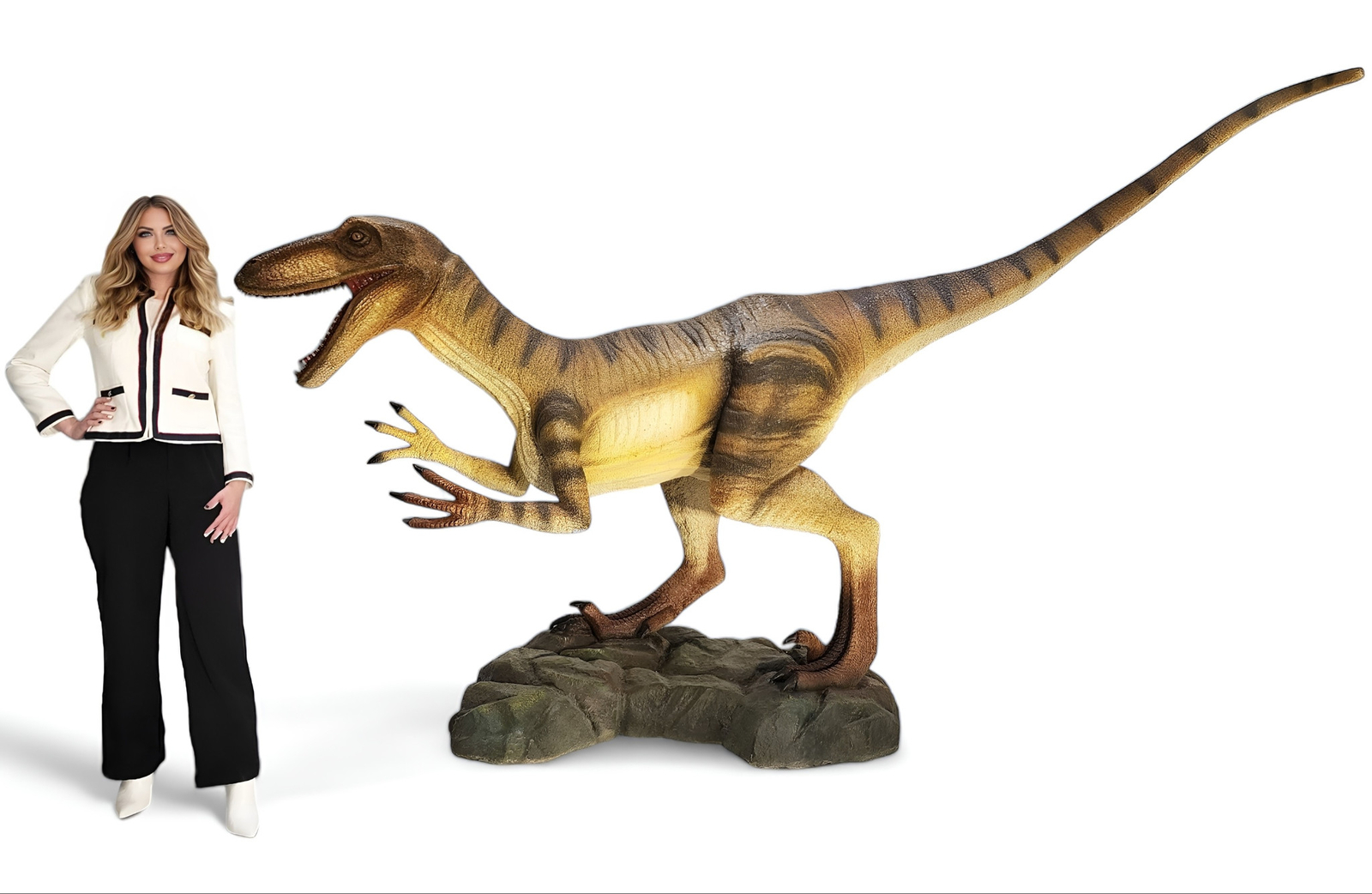 Velociraptor Dinosaur Statue Jurassic Dino Life Size Raptor 11FT Museum ...